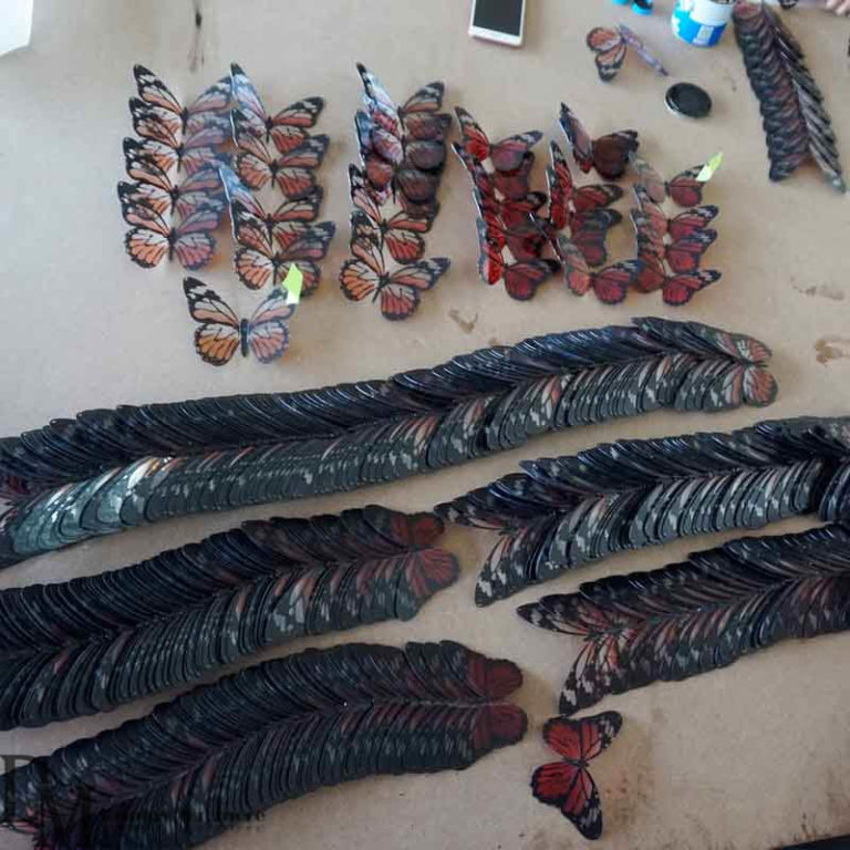 Acrylic Display Case Butterfly Fully Illustrates Window Decoration ...