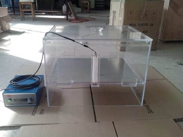 Three Ways of Flocking Processing | DM Window Display